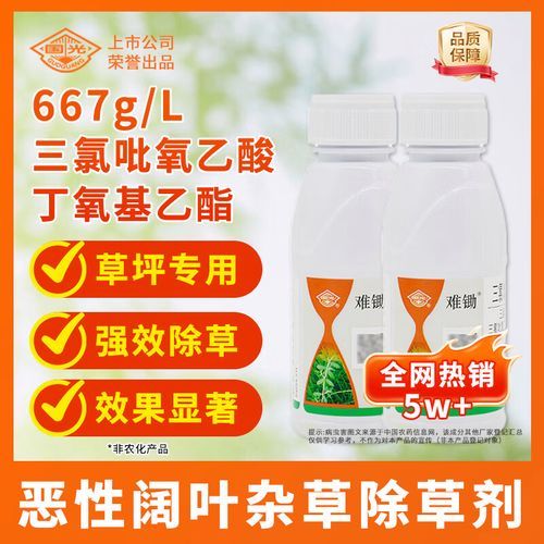 鸭跖草用什么除草剂能彻底打死_鸭跖草防治最佳药剂推荐-第2张图片-山城妙识