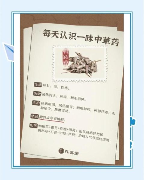 鸭跖草用什么除草剂能彻底打死_鸭跖草防治最佳药剂推荐-第3张图片-山城妙识