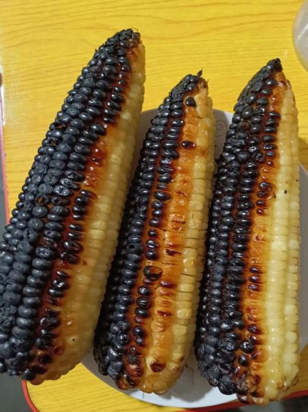 玉米没煮熟还能二次煮吗_玉米二次煮会老吗-第1张图片-山城妙识 玉米没煮熟还能二次煮吗_玉米二次煮会老吗-第1张图片-山城妙识