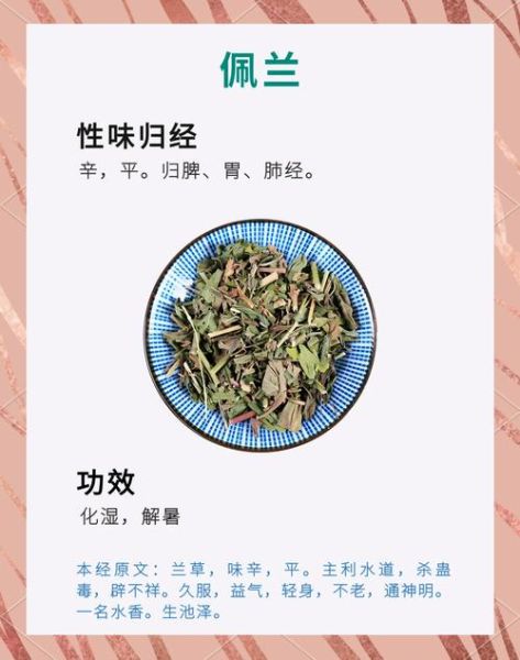 佩兰的功效与作用_佩兰主治哪些病-第1张图片-山城妙识 佩兰的功效与作用_佩兰主治哪些病-第1张图片-山城妙识