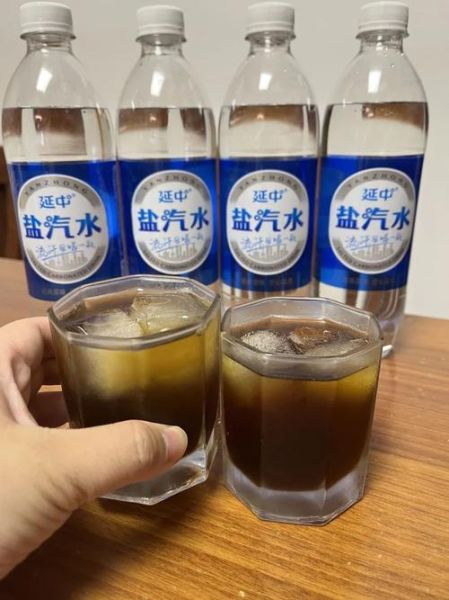 自制盐汽水的做法_盐汽水比例怎么调-第2张图片-山城妙识 自制盐汽水的做法_盐汽水比例怎么调-第2张图片-山城妙识