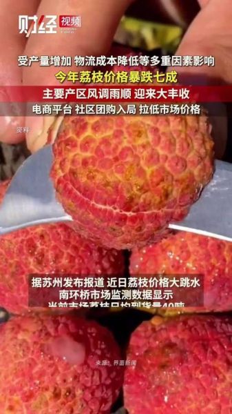 荔枝多少钱一斤_荔枝价格为什么波动这么大-第3张图片-山城妙识 荔枝多少钱一斤_荔枝价格为什么波动这么大-第3张图片-山城妙识