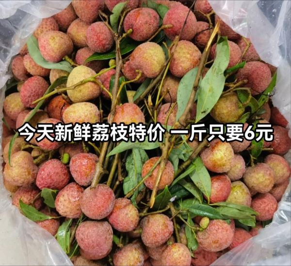 荔枝多少钱一斤_荔枝价格为什么波动这么大-第2张图片-山城妙识 荔枝多少钱一斤_荔枝价格为什么波动这么大-第2张图片-山城妙识
