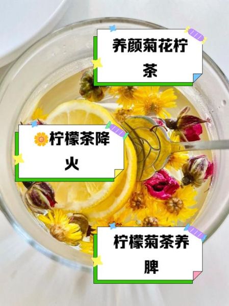 菊花柠檬茶的功效与作用_能天天喝吗-第1张图片-山城妙识