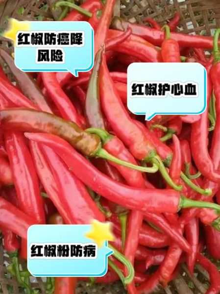 红辣椒的功效与作用_吃红辣椒会上火吗-第1张图片-山城妙识
