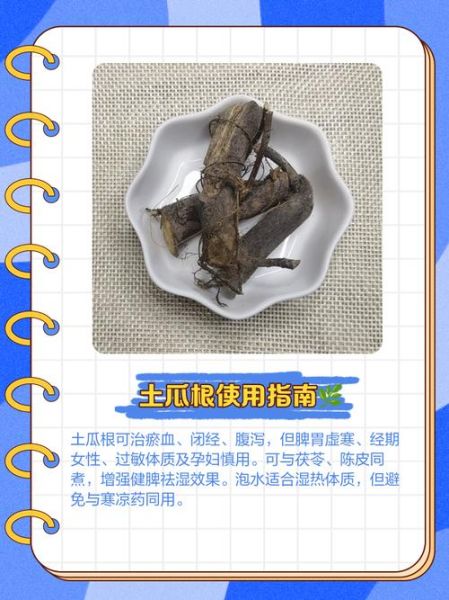 土瓜根的功效与作用_土瓜根怎么使用-第1张图片-山城妙识