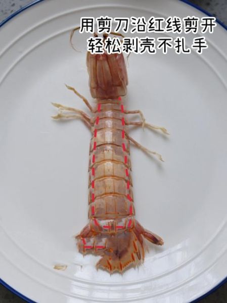 皮皮虾的功效与作用_孕妇能吃吗-第2张图片-山城妙识