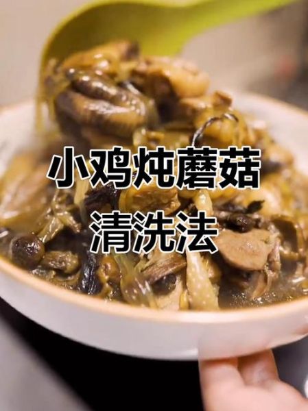 新鲜松蘑怎么清洗_松蘑炖鸡的做法窍门-第2张图片-山城妙识 新鲜松蘑怎么清洗_松蘑炖鸡的做法窍门-第2张图片-山城妙识