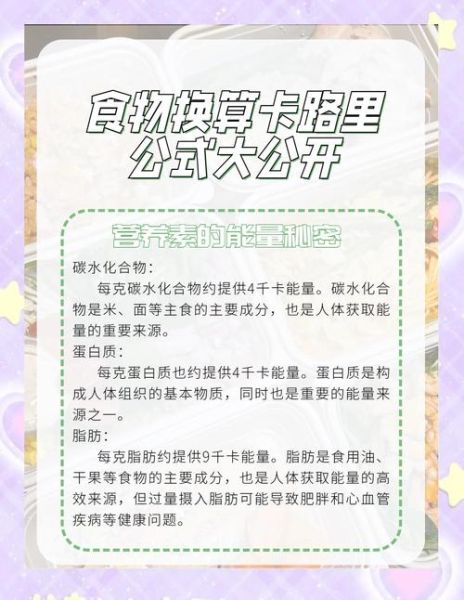 卡路里换算器怎么用_食物热量怎么换算-第2张图片-山城妙识