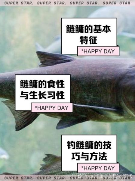 鳙怎么读拼音_鳙鱼读音是什么-第2张图片-山城妙识