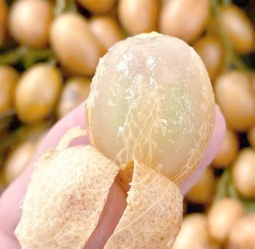 夏季水果有哪些种类_夏天吃什么水果最解暑-第3张图片-山城妙识