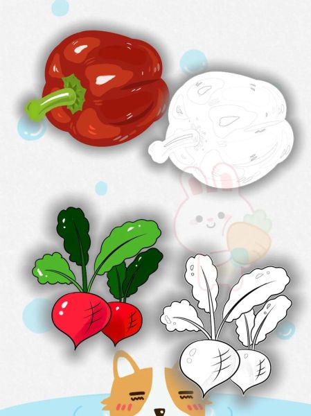 蔬菜卡通图片怎么画_可爱蔬菜插画教程-第3张图片-山城妙识 蔬菜卡通图片怎么画_可爱蔬菜插画教程-第3张图片-山城妙识