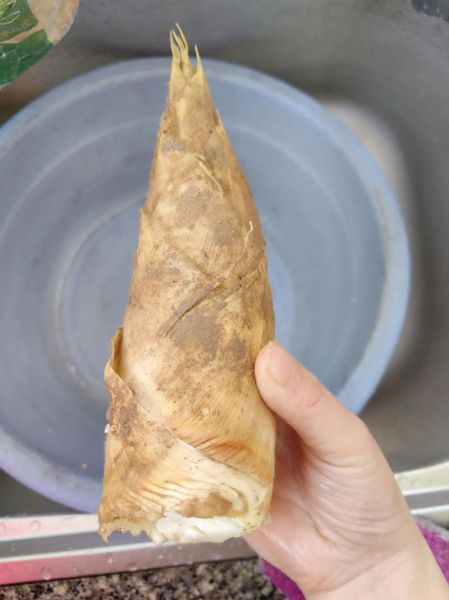 冬笋干怎么做好吃又简单_冬笋干快速泡发技巧-第3张图片-山城妙识