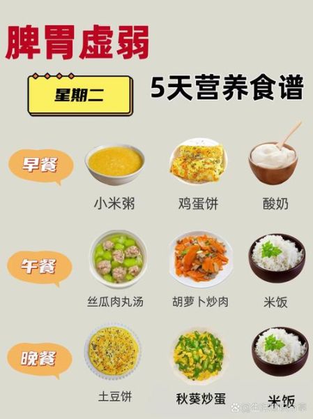 脾虚吃什么好得快_脾虚调理食谱推荐-第3张图片-山城妙识 脾虚吃什么好得快_脾虚调理食谱推荐-第3张图片-山城妙识