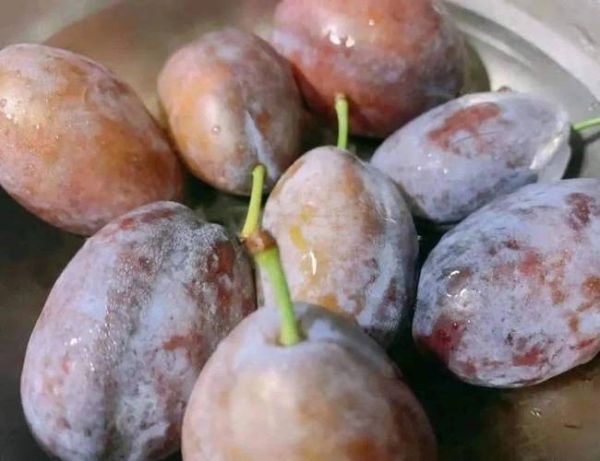 清肠通便最强效的食物_便秘吃什么最快排便-第3张图片-山城妙识 清肠通便最强效的食物_便秘吃什么最快排便-第3张图片-山城妙识