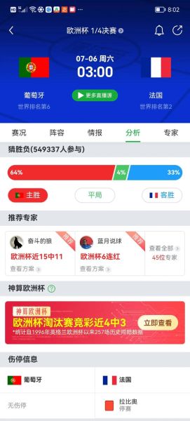 葡萄牙vs法国谁赢_葡萄牙vs法国比分预测-第1张图片-山城妙识
