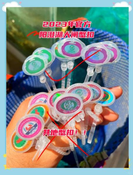 阳澄湖大闸蟹高清图片哪里找_如何辨别真假-第2张图片-山城妙识