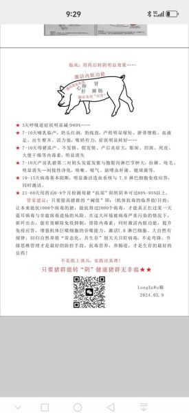 猪瘟病毒传播途径_猪瘟病毒能治好吗-第2张图片-山城妙识 猪瘟病毒传播途径_猪瘟病毒能治好吗-第2张图片-山城妙识