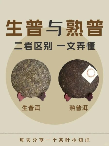 普洱茶的功效与作用及禁忌_普洱熟茶和生茶的区别-第2张图片-山城妙识 普洱茶的功效与作用及禁忌_普洱熟茶和生茶的区别-第2张图片-山城妙识