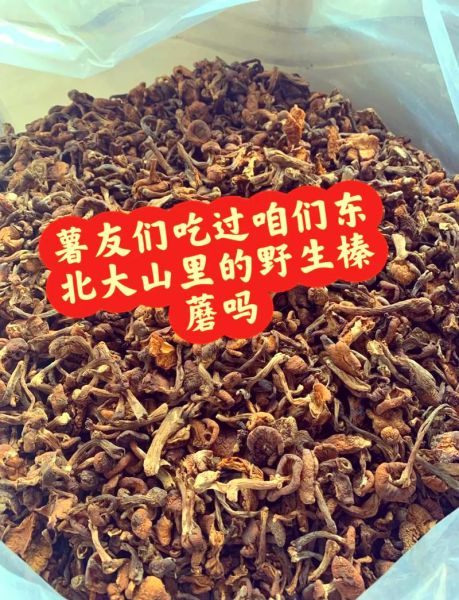 新鲜榛蘑怎么保存_新鲜榛蘑多少钱一斤-第3张图片-山城妙识 新鲜榛蘑怎么保存_新鲜榛蘑多少钱一斤-第3张图片-山城妙识