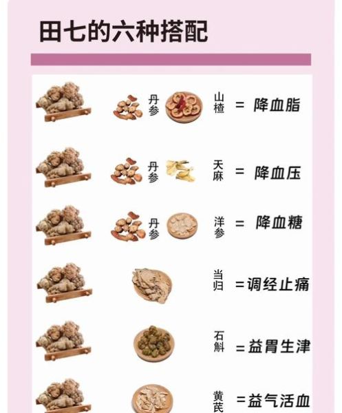 田七适合什么人吃_田七的禁忌人群有哪些-第1张图片-山城妙识 田七适合什么人吃_田七的禁忌人群有哪些-第1张图片-山城妙识