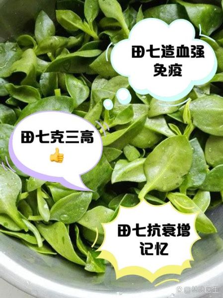 田七适合什么人吃_田七的禁忌人群有哪些-第3张图片-山城妙识 田七适合什么人吃_田七的禁忌人群有哪些-第3张图片-山城妙识