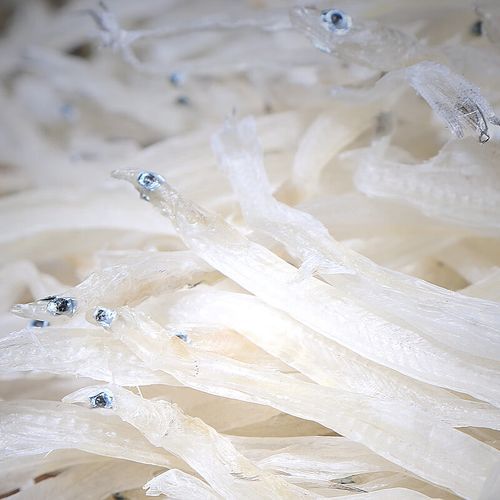 银鱼卖120元一斤正常吗_银鱼价格为什么这么贵-第1张图片-山城妙识