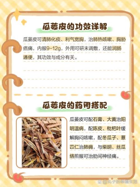 瓜蒌皮的功效与作用_瓜蒌皮能治什么病-第2张图片-山城妙识 瓜蒌皮的功效与作用_瓜蒌皮能治什么病-第2张图片-山城妙识