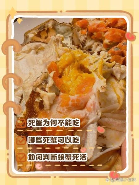 螃蟹半夜死了第二天吃可以吗_如何判断死蟹是否变质-第2张图片-山城妙识 螃蟹半夜死了第二天吃可以吗_如何判断死蟹是否变质-第2张图片-山城妙识