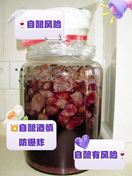 自制葡萄酒的危害_如何避免甲醇超标-第1张图片-山城妙识 自制葡萄酒的危害_如何避免甲醇超标-第1张图片-山城妙识