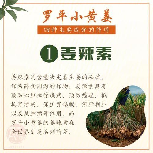 小黄姜的功效与作用_小黄姜的禁忌人群有哪些-第2张图片-山城妙识 小黄姜的功效与作用_小黄姜的禁忌人群有哪些-第2张图片-山城妙识