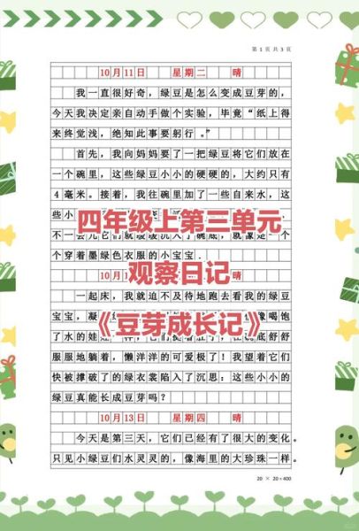 豆芽生长过程_观察日记怎么写-第3张图片-山城妙识 豆芽生长过程_观察日记怎么写-第3张图片-山城妙识