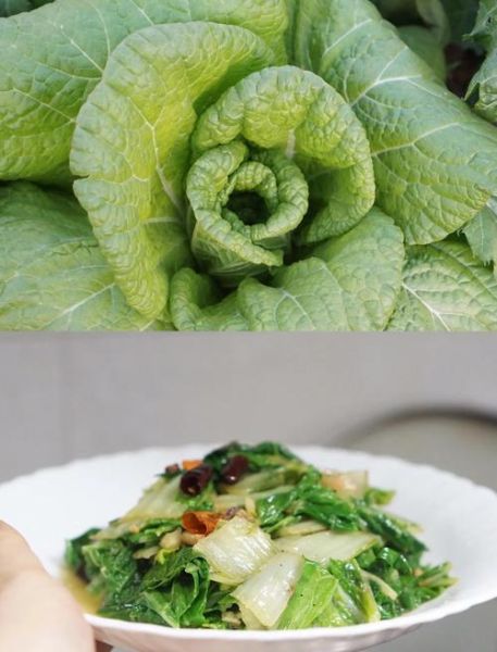 清炒小白菜怎么炒才好吃_清炒小白菜做法窍门-第3张图片-山城妙识 清炒小白菜怎么炒才好吃_清炒小白菜做法窍门-第3张图片-山城妙识