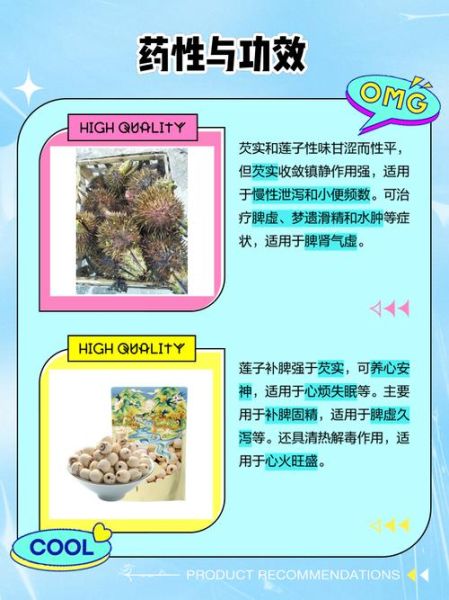 芡实是什么植物_芡实和莲子区别-第1张图片-山城妙识 芡实是什么植物_芡实和莲子区别-第1张图片-山城妙识