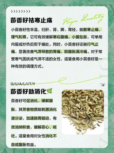 茴香籽炒熟后有什么功效_怎么食用效果好-第1张图片-山城妙识