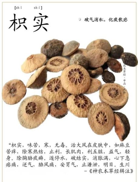 枳实的功效与作用_枳实怎么泡水喝-第1张图片-山城妙识 枳实的功效与作用_枳实怎么泡水喝-第1张图片-山城妙识