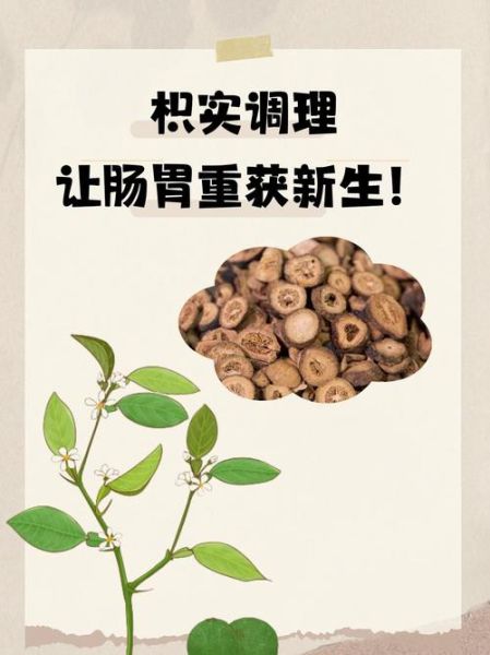 枳实的功效与作用_枳实怎么泡水喝-第2张图片-山城妙识 枳实的功效与作用_枳实怎么泡水喝-第2张图片-山城妙识