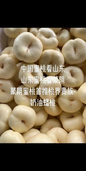 蜜枣桃是什么水果_蜜枣桃和蟠桃区别-第1张图片-山城妙识 蜜枣桃是什么水果_蜜枣桃和蟠桃区别-第1张图片-山城妙识