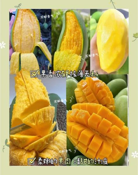 青芒果怎么吃最好吃_青芒果最佳吃法大全-第3张图片-山城妙识 青芒果怎么吃最好吃_青芒果最佳吃法大全-第3张图片-山城妙识