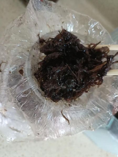 油鸡枞多少钱一斤_油鸡枞价格为什么贵-第3张图片-山城妙识 油鸡枞多少钱一斤_油鸡枞价格为什么贵-第3张图片-山城妙识