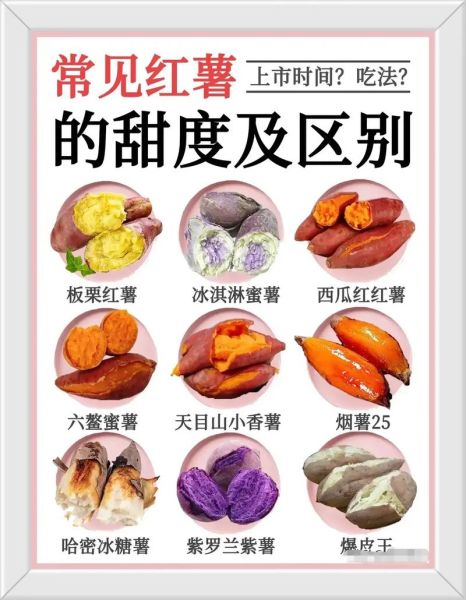 红薯的功效与作用禁忌_红薯吃多了会胖吗-第3张图片-山城妙识 红薯的功效与作用禁忌_红薯吃多了会胖吗-第3张图片-山城妙识