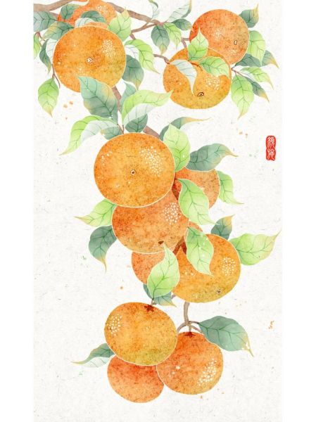 水果画画图片大全_适合临摹的素材有哪些-第1张图片-山城妙识 水果画画图片大全_适合临摹的素材有哪些-第1张图片-山城妙识