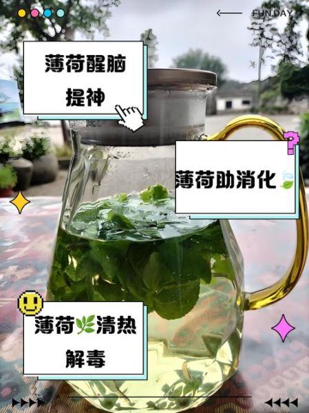 薄荷叶能直接泡水喝吗_薄荷叶泡水喝的正确方法-第1张图片-山城妙识 薄荷叶能直接泡水喝吗_薄荷叶泡水喝的正确方法-第1张图片-山城妙识