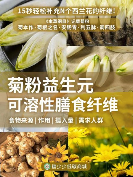 菊粉是什么提取出来的_菊粉原料来源有哪些-第2张图片-山城妙识 菊粉是什么提取出来的_菊粉原料来源有哪些-第2张图片-山城妙识