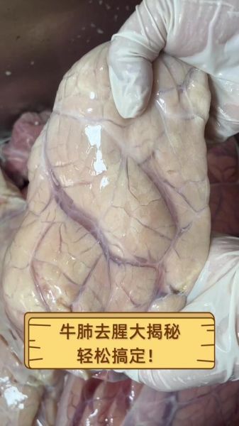 牛肺怎么做好吃_牛肺去腥技巧-第1张图片-山城妙识