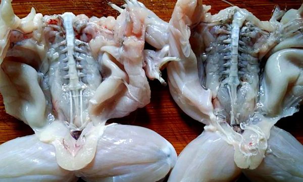 吃牛蛙的危害有哪些_牛蛙寄生虫风险大吗-第3张图片-山城妙识 吃牛蛙的危害有哪些_牛蛙寄生虫风险大吗-第3张图片-山城妙识