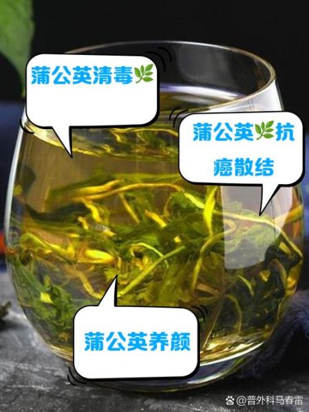 长期喝蒲公英水副作用_蒲公英水能天天喝吗-第2张图片-山城妙识 长期喝蒲公英水副作用_蒲公英水能天天喝吗-第2张图片-山城妙识