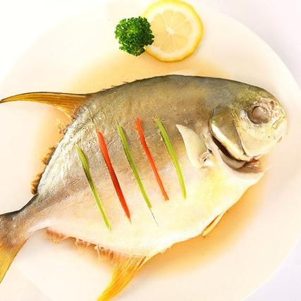 清蒸冷冻平鱼怎么做好吃_冷冻平鱼蒸多久才鲜嫩-第3张图片-山城妙识 清蒸冷冻平鱼怎么做好吃_冷冻平鱼蒸多久才鲜嫩-第3张图片-山城妙识