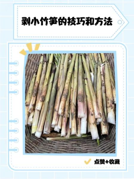 竹笋怎么剥皮_竹笋怎么切-第1张图片-山城妙识 竹笋怎么剥皮_竹笋怎么切-第1张图片-山城妙识