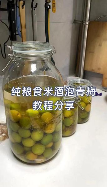 米酒泡酒用什么药材_米酒泡酒配方大全-第2张图片-山城妙识 米酒泡酒用什么药材_米酒泡酒配方大全-第2张图片-山城妙识